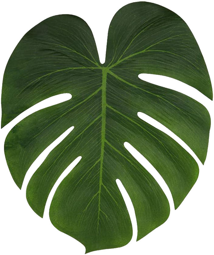 Tratamientos - Simildiet Laboratorios